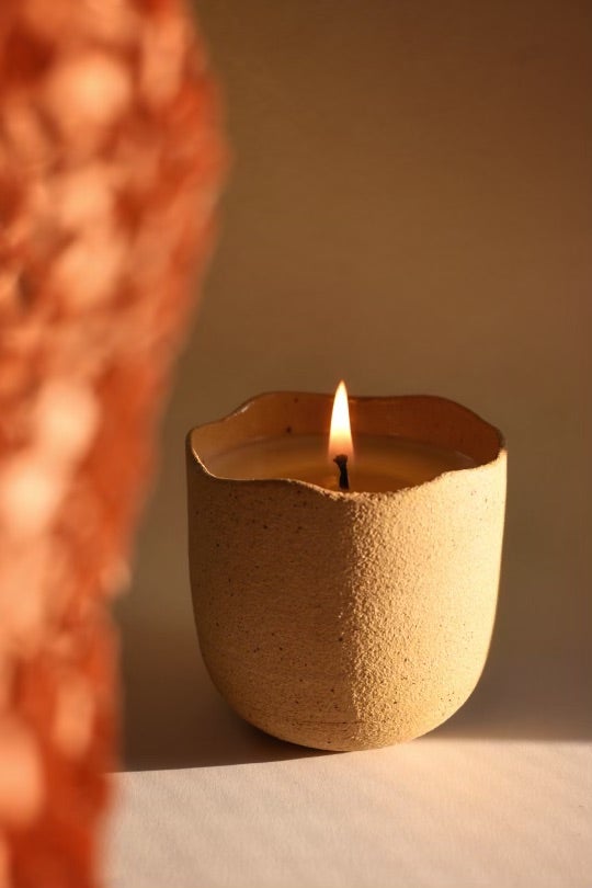 Shop | XēBA BOTáNICA®